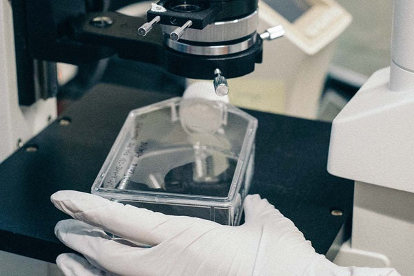 Cell self-destruction and petitions – Brain Tumour Research