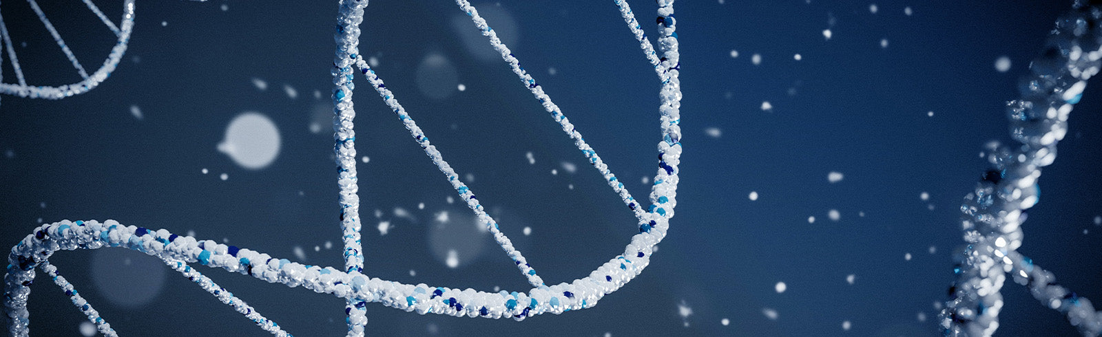 Brain tumour genetics to affect treatment decisions – Brain Tumour Research