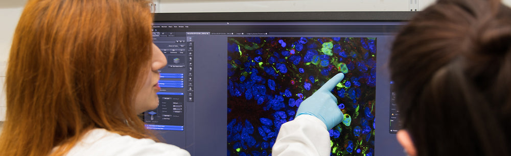 Information Brain Tumour Research