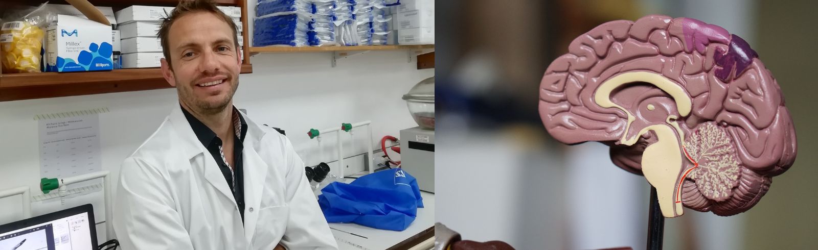 ‘Super sponge’ could transform GBM treatment – Brain Tumour Research