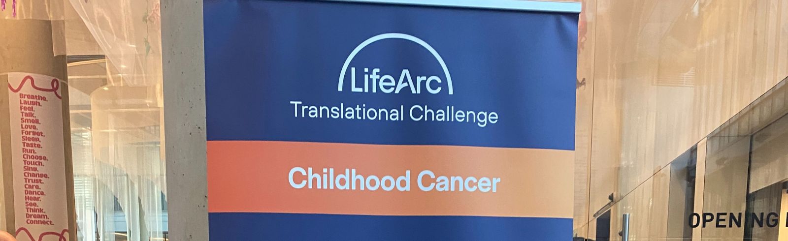 LifeArc Childhood Cancer Translation Challenge launched – Brain Tumour ...