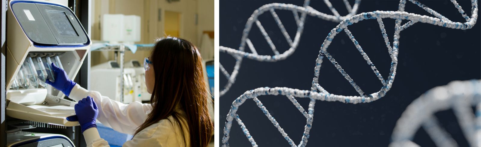 New genetic test could diagnose brain tumours in as little as two hour ...