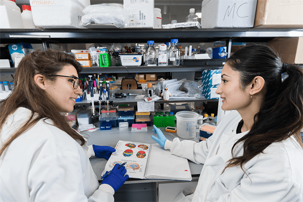 Making current treatments more effective – Brain Tumour Research