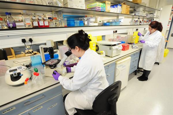 Human to human: the ultimate goal for brain tumour research – Brain ...