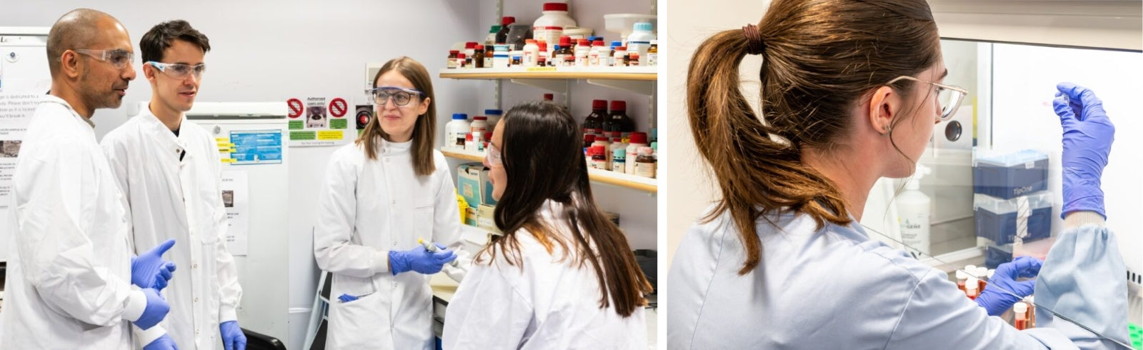 Blog: What if we could predict when glioblastoma return? – Brain Tumour ...