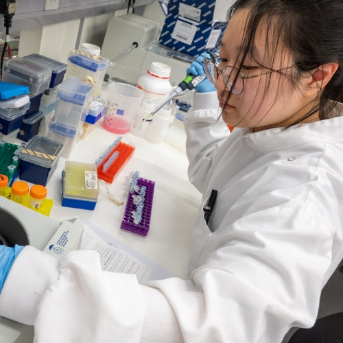 The Scottish Brain Tumour Research Centre of Excellence
