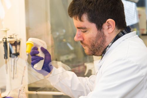 Impact Report | Celebrating 15 Years of Impact – Brain Tumour Research