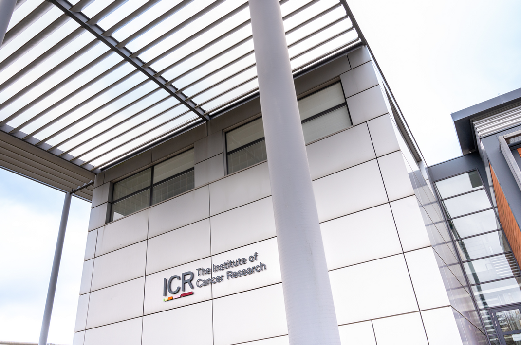 The Institute of Cancer Research | Centres of Excellence – Brain Tumour ...