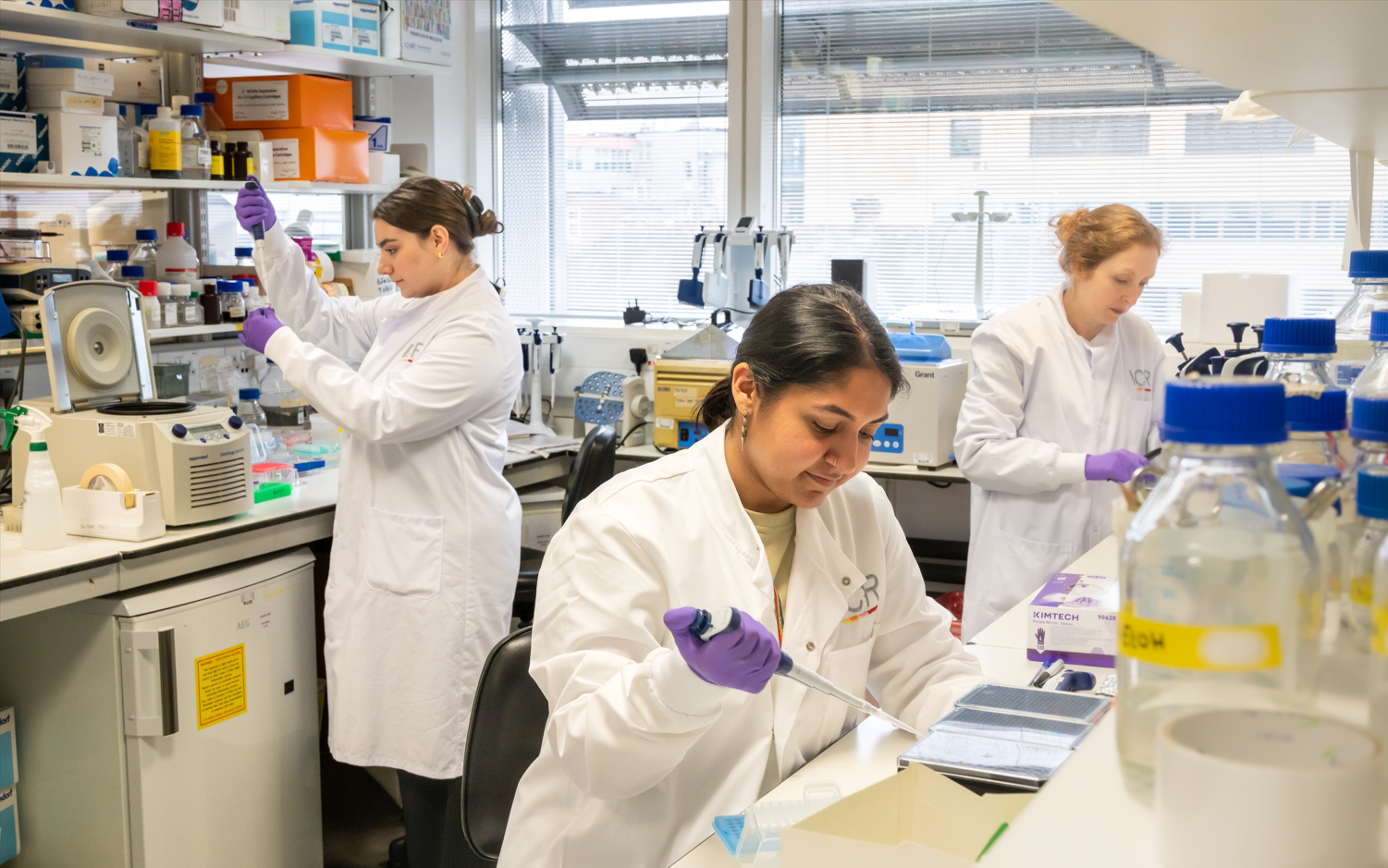 The Institute of Cancer Research | Centres of Excellence – Brain Tumour ...