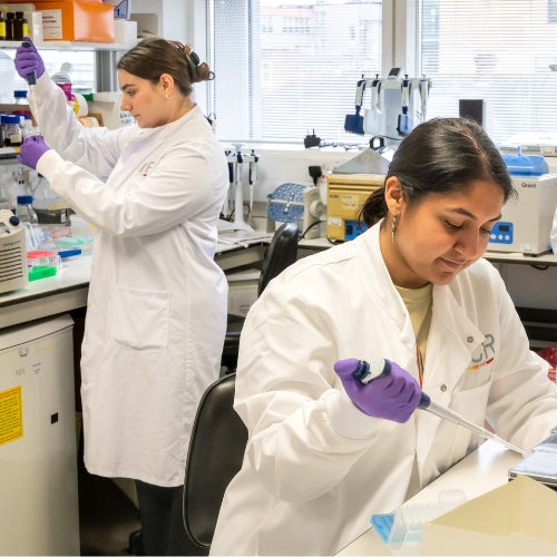 Colloid Cyst | Brain Tumour Research