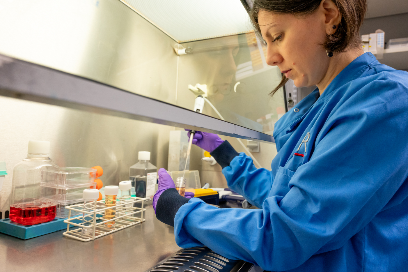 The Institute of Cancer Research | Centres of Excellence – Brain Tumour ...