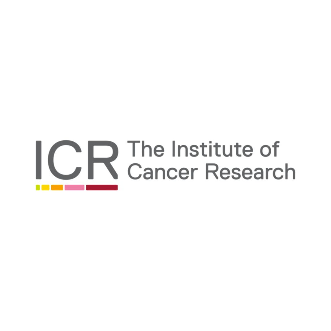 The Institute of Cancer Research | Centres of Excellence – Brain Tumour ...