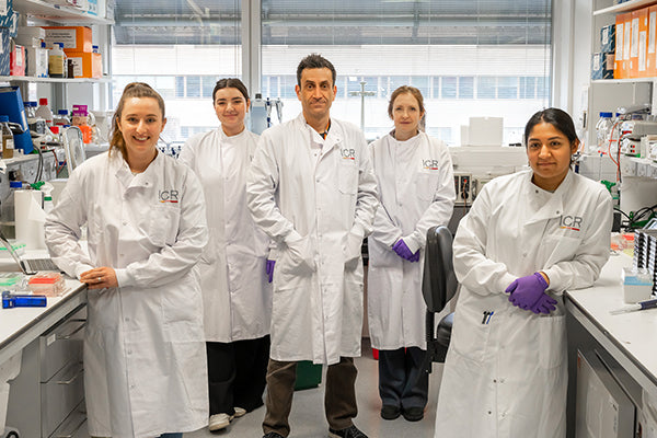 Information On Brain Tumours Brain Tumour Research